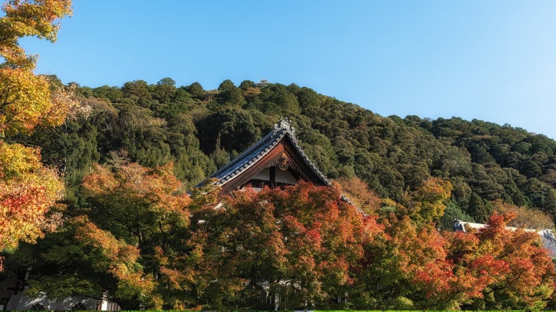 Eikando Temple: A Detailed Guide to Its History and Overview